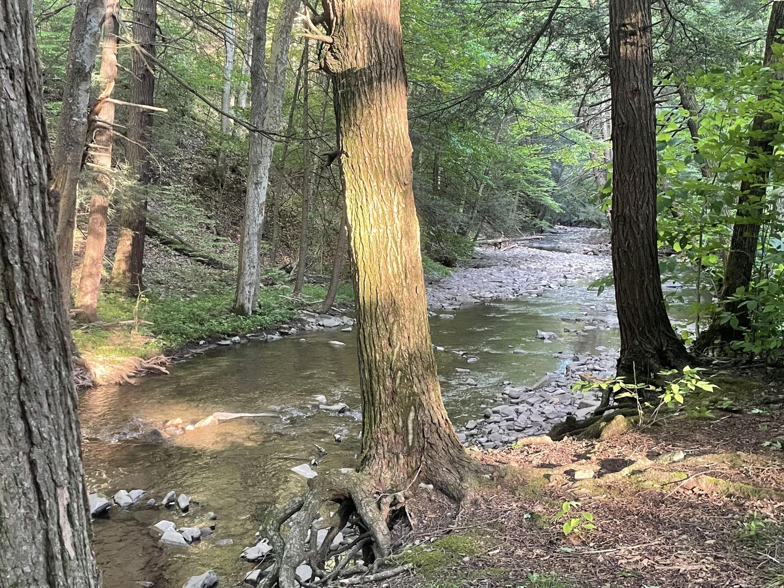 Campground Details - Big Run State Park, MD - ReserveAmerica