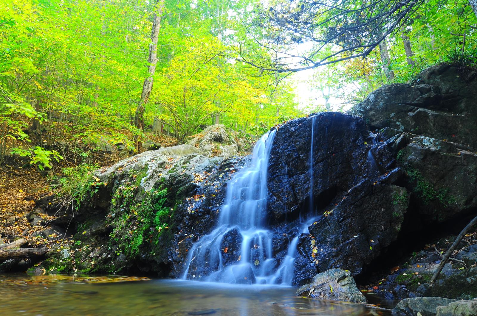 Campground Details - Patapsco Valley State Park, MD - ReserveAmerica