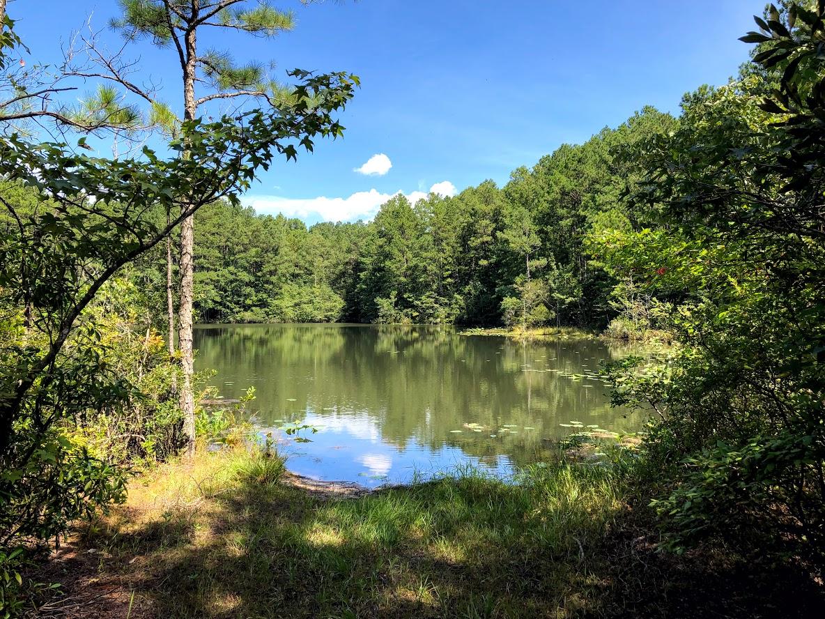 Campground Details - Pocomoke River State Park, MD - ReserveAmerica